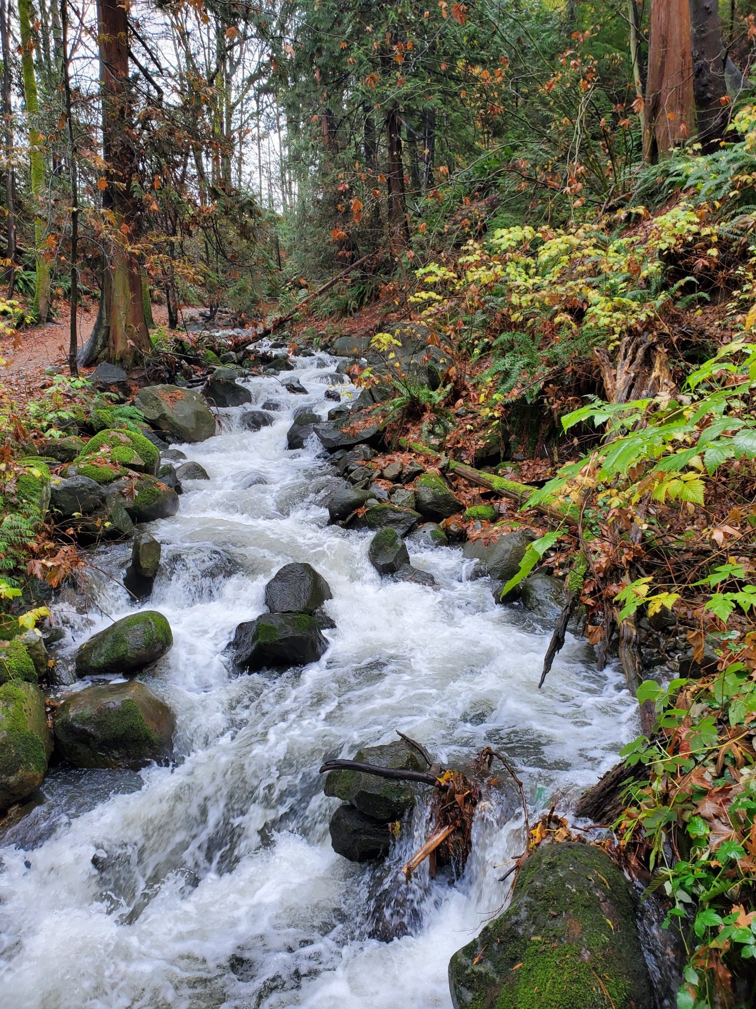 پارک ماهون در ونکوور (Mahon Park) ؛ آدرس و اطلاعات - Ganjineh